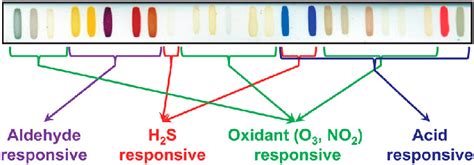 photographic image of a colorimetric sensor array for artwork