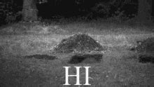 Creepy Hello S Tenor