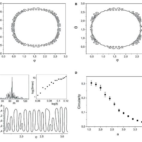 Circularity Of Dendrites This Figure Shows The Circularity Of