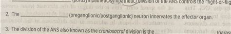 Solved The Preganglionicpostganglionic neuron Innervates Solved The Preganglionicpostganglionic neuron Innervates