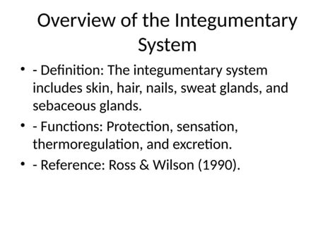Physiology Of Integumentary System Slides Pptx