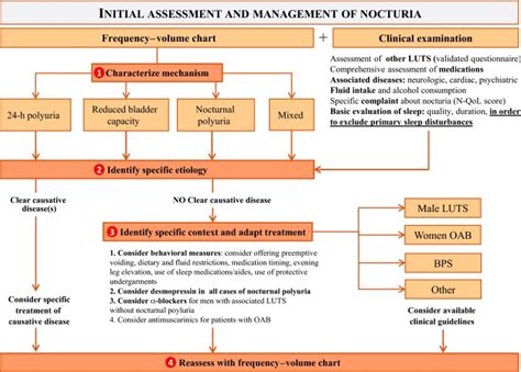 A Contemporary Assessment Of Nocturia Definition Epidemiology