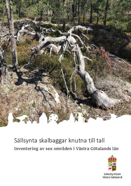 Sällsynta Skalbaggar Knutna Till Tall Inventering Av Sex Områden I Västra Götalands Län