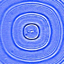 Ripple Effect In Android TO THE NEW Blog