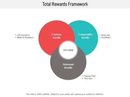 Total Rewards Framework Powerpoint Presentation And Slides Ppt Template