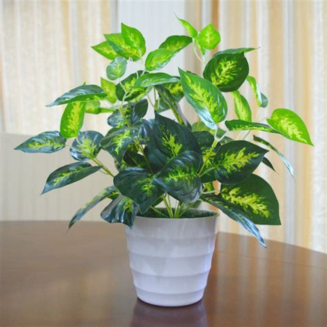 仿真绿萝盆栽室内仿真植物塑料小盆栽装饰绿植仿真花草假植物绿萝虎窝淘