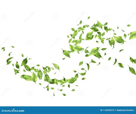 Green Flying Leaves Cartoon Vector 118854149