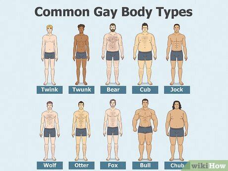Every Gay Body Type Explained Your Queer Slang Guide