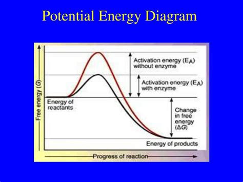 Chemical Potential Energy Diagram