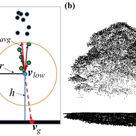 Front View Of A Group Of Trees Reconstructed From Airborne Lidar Point