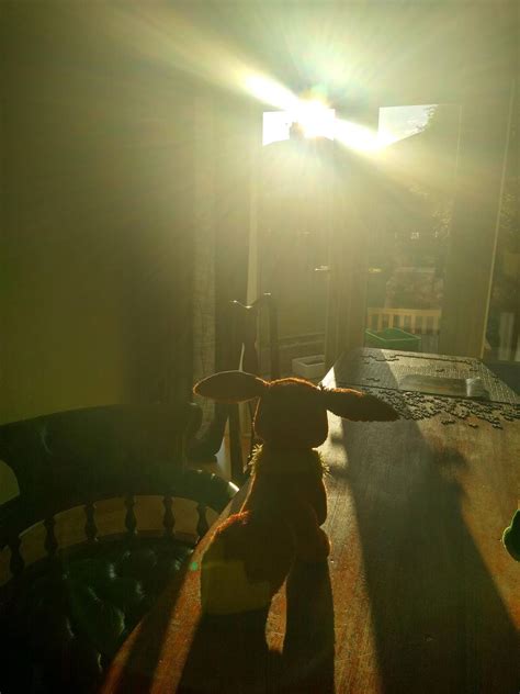 Overly Dramatic Eevee Pic Scrolller