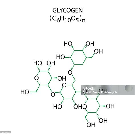 Glycogen Molecule Icon Chemical C6h10o5 Formula Vector Structural