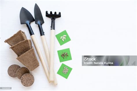 집에서 원예 창턱에 음식을 재배 도구 씨앗 토탄 냄비와 묘목을위한 분쇄 텍스트 맨 위 보기의 카피스페이스입니다 흰색 나무 배경에 플랫 레이 원예용품에 대한 스톡 사진 및