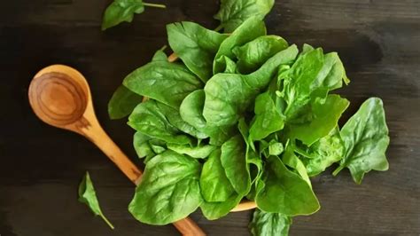 Oseille Bienfaits Valeurs Nutritionnelles Et Recettes Alimentation