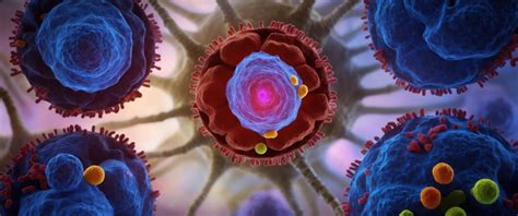 An Immunofluorescence Image Showcasing Vibrant Cellular Structures In