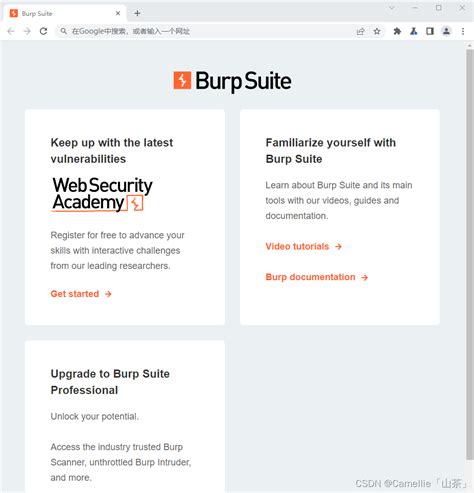 Ctfhub技能树——备份文件下载ctfhub北备份文件下载camellie「山茶」的博客 Csdn博客