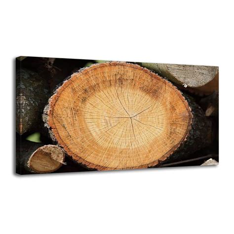 Canvas Wall Art Tree Pane Annual Rings Growth Rings Pictures Wall Decor