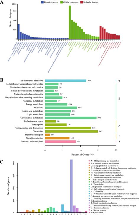 Functional Categories Of The Unigenes A Histogram Presentation Of Go