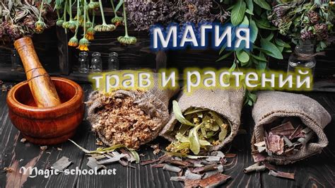 Магия трав и растений - YouTube