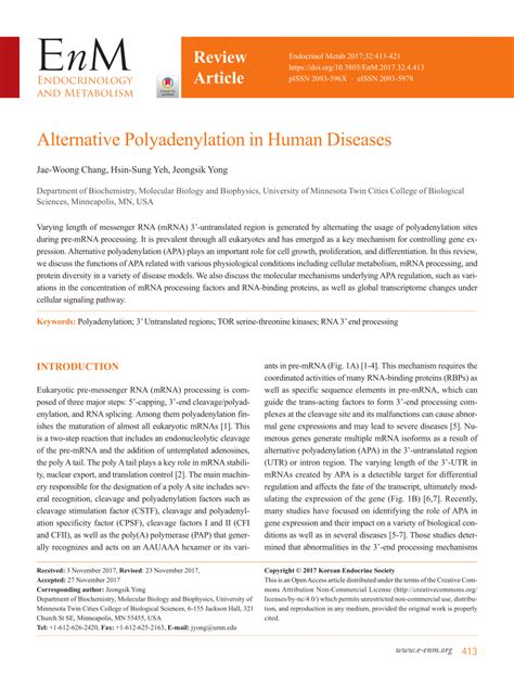 PDF Alternative Polyadenylation In Human Diseases