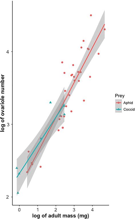 The Relationship Between Log Reproductive Investment And Log Adult Mass Download Scientific