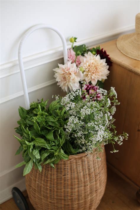 Caitlin Confidential Fashion Beauty By Caitlin Chapman