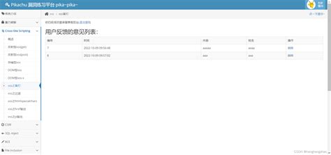 pikachu靶场通关技巧详解 csdn博客