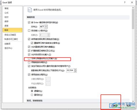 Excel单元格输入时自动弹出文字怎么解除？ Excel单元格总是提示输入文字的取消方法 极光下载站