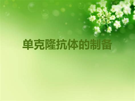 单克隆抗体的制备word文档在线阅读与下载无忧文档