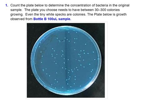 How Many Colonies Were Present In Bottle B Based On Your Calculations Estimate The Number Of