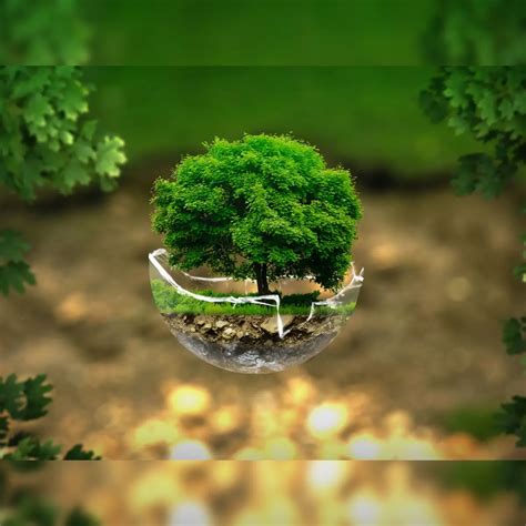 Clean And Green Environment Quotes