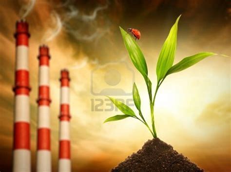 ეკოლოგიური პრობლემები ფოტო გალერეა