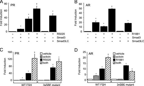 Disruption Of Smad Binding To The Fsh Promoter Blocks Cross Talk Download Scientific Diagram