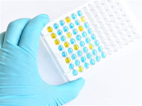 Enzyme Linked Immunosorbent Assay Or Elisa Plate Stock Image Image Of