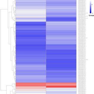 The Relative Expression Pattern Of NAC Transcription Factor Among DEGs