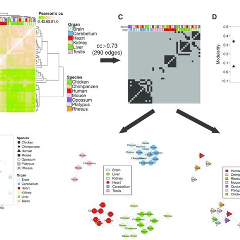 Hierarchical Clustering A And Pca B Based On The Expression Of 6283 Download Scientific