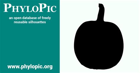 Cucurbita Pepo Phylopic