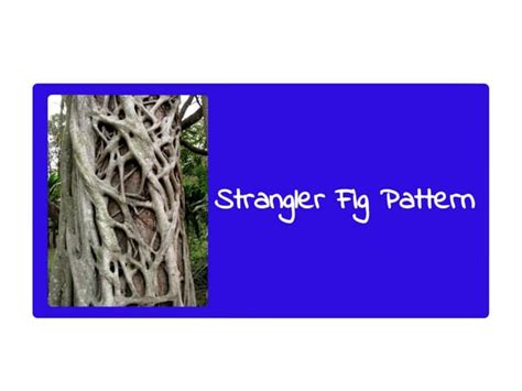 Strangler Fig Design Pattern Pptx