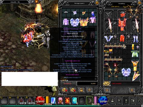 Help Item Info And Item Name Bug Season IGC RaGEZONE MMO Development Forums