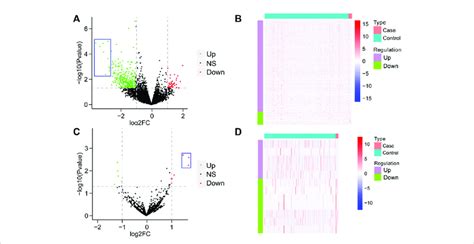 Analysis Of Differential Mrnas And Mirnas Comparing Paml And Control
