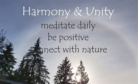 Insights Harmony Unity Veracis Online Meditation Wellness