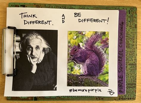 We Are All Purple Squirrels
