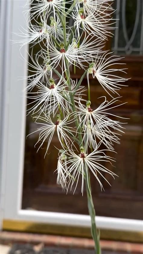 Plants Decor Inspiration Did You Know You Could Propagate Trees