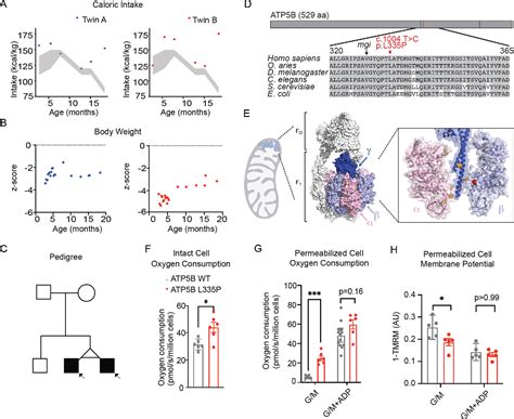 [pdf] Congenital Hypermetabolism And Uncoupled Oxidative