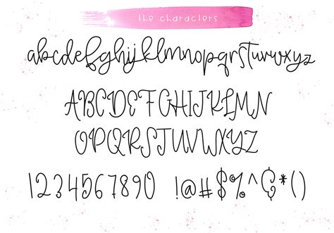 Raspberry A Handwritten Script Font 82606 Script Font Bundles