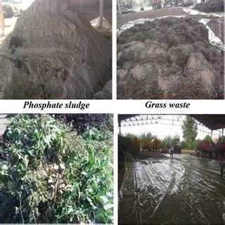 Pictures Of The Raw Material Waste Used For The Composting Process Download Scientific