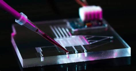 Microfluidic Sensors For Lab On A Chip Technologies