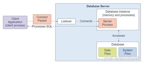 Oracle数据库的体系结构是怎样的？ 知乎