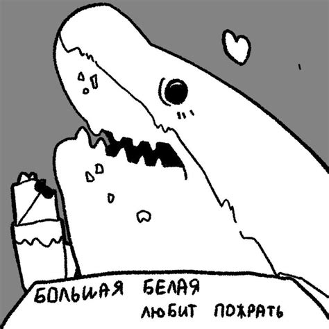 Акулы | Пикабу