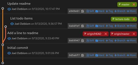 Support Branch Visualization Similar To `git Log Graph` · Issue 1109